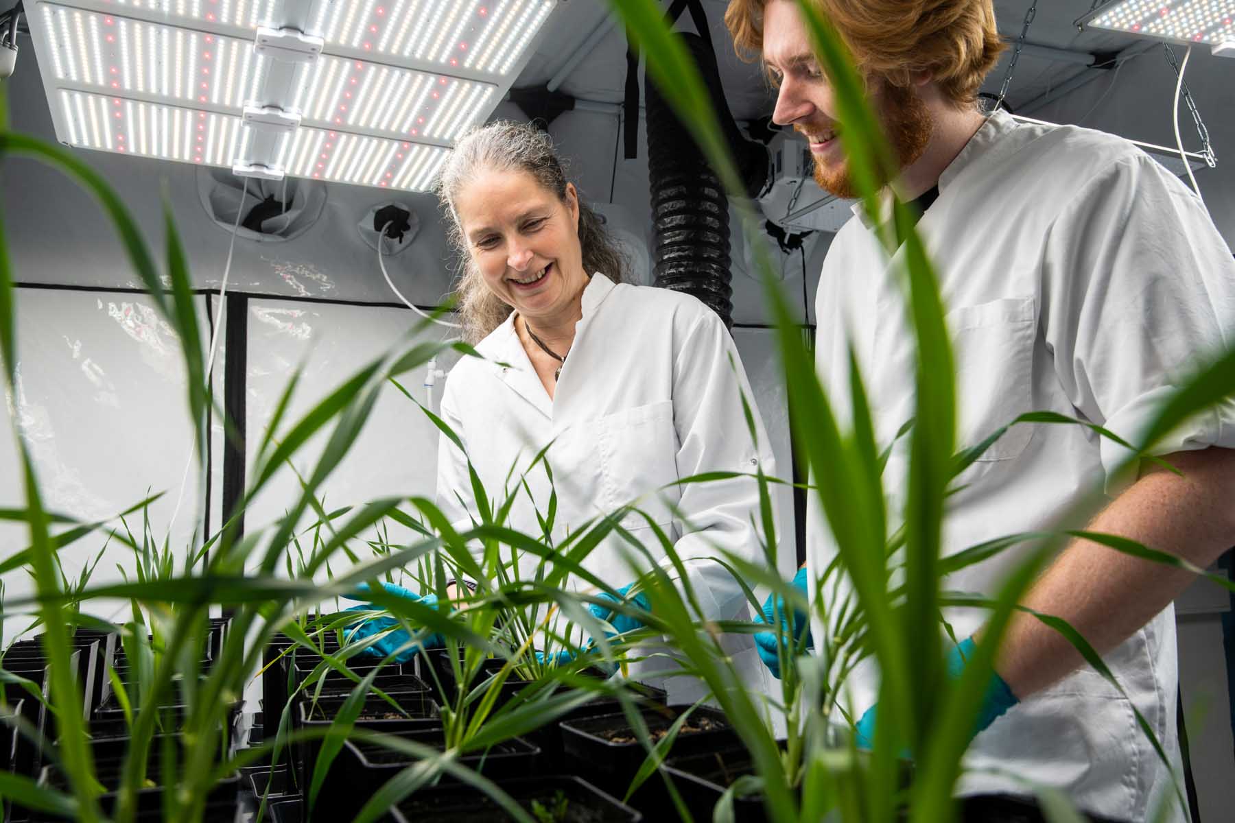 Products - Nordic Microbes